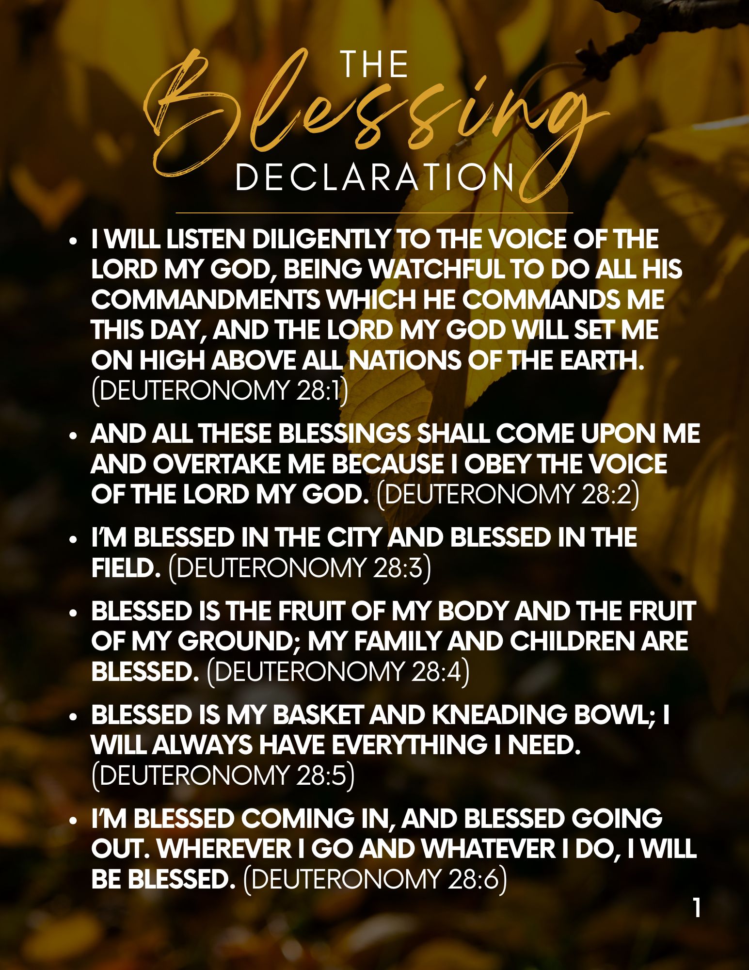 The Blessing Declaration – Christi Le Fevre with Mylon Le Fevre Ministries